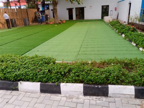 Homeowners Use Synthetic Grass And Here Is Why Bethelmendels