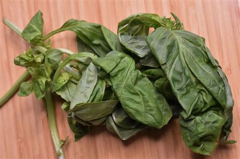 Heres How To Stop Your Basil From Wilting