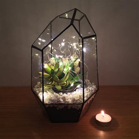 Terrarium Lighting Led At Michael Womack Blog