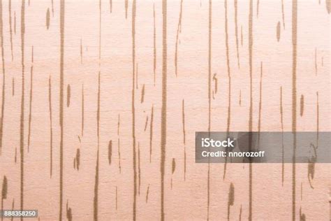 천연 자작나무 합판 나무의 표면 텍스처를 샌드 페이퍼로 문질러 서 하 고 긁힌 0명에 대한 스톡 사진 및 기타 이미지 0명 가구 가정 생활 Istock