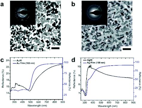SERS Enhanced Piezoplasmonic Graphene Composite For Biological And