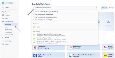 A Guide To Kipi Marketing Mix Modelling And Analytics App