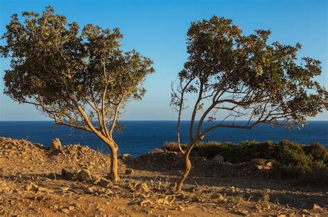 Premium Photo Beautiful Landscape Photo From The Island Of Crete