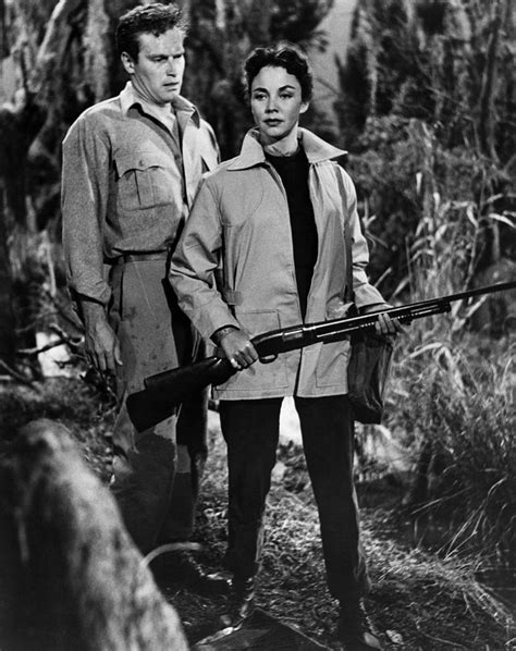 Charlton Heston Gun Collection