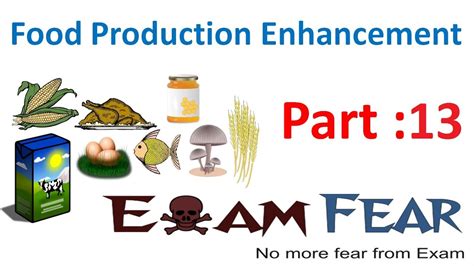 Biology Food Production Part 13 Single Cell Protien Class 12 Xii Youtube