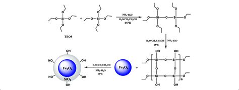 Synthesis Of Fe 3 O 4 Sio 2 Download Scientific Diagram