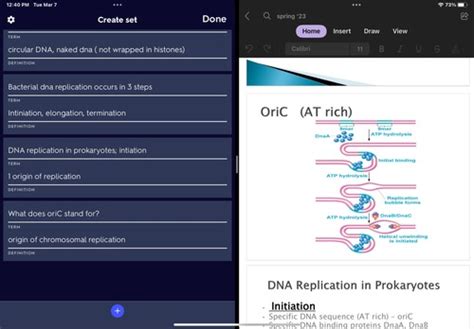 Genetics Replication Recombination Exam 2 Flashcards Quizlet