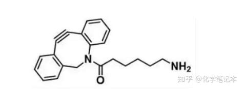 Dbco C6 Amine，1255942 05 2，可以用于构建分子结构和生物活性分子 知乎