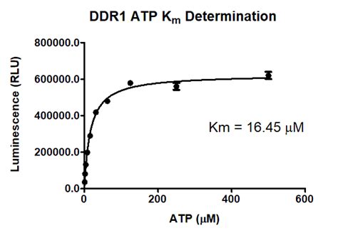 Recombinant Human Ddr1 Protein D05 11g Sino Biological