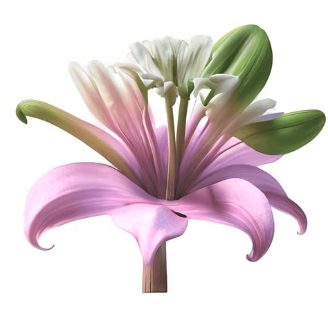 Hyperdetailed Realistic Lily Bouquet · Creative Fabrica