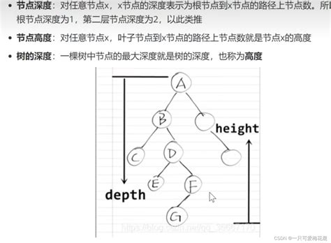理解数据结构：树与二叉树的深度解析 Csdn博客