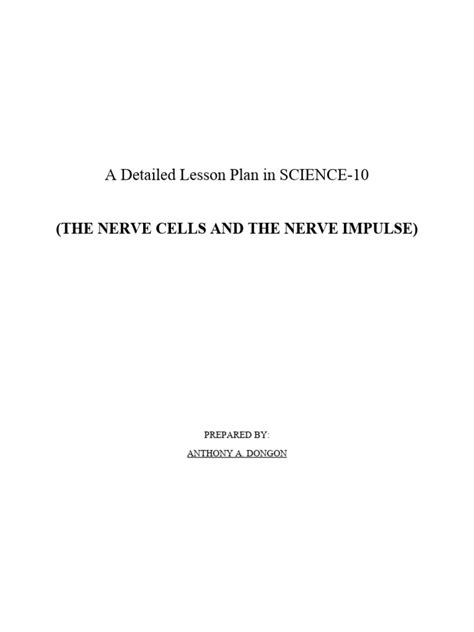 Detailed Lesson Plan Pdf Neuron Action Potential