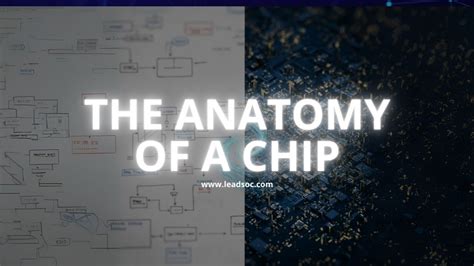 The Anatomy Of A Chip