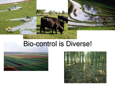 PPT Biological Control Principles PowerPoint Presentation Free