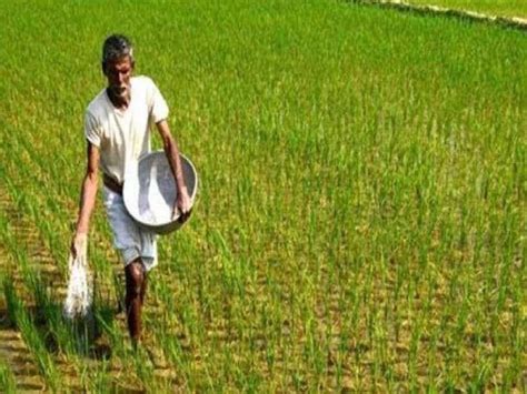 महाराष्ट्र सरकार का बड़ा फैसला किसानों को हर साल मिलेंगे 6000 रुपये