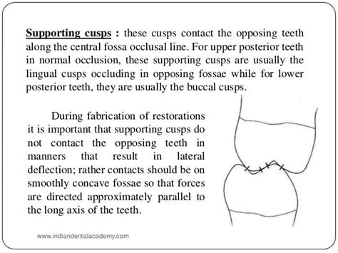 Occlusion