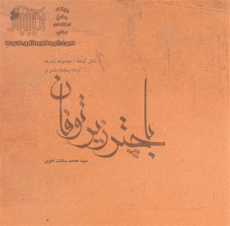 کتاب با چتر زیر باران ~سیدمحمد سادات اخوی شاعر نشر امیرکبیر، شرکت