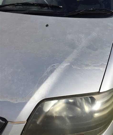Cdp Fx Australia Colour Dip N Peel A Liquid Vinyl Wrap 497 Photos