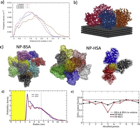 Icmab Protein Surface Interactions At The Nanoscale Atomistic