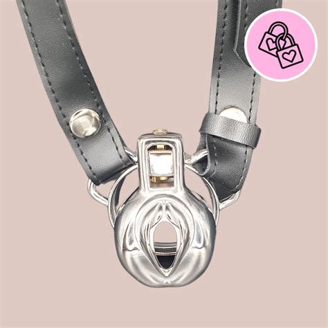 The Pussy Steel Chastity Cage House Of Chastity