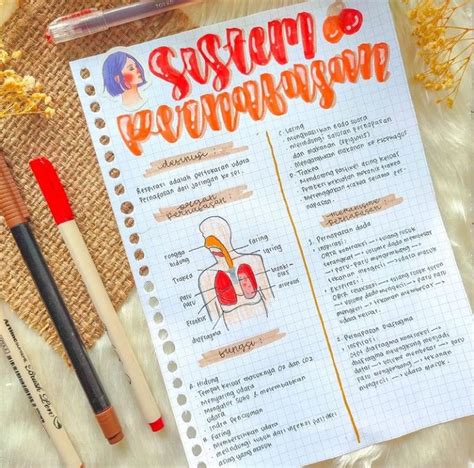 Sistem Pencernaan