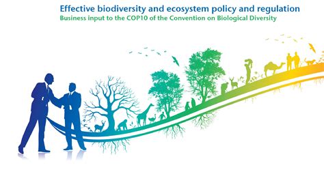 Effective Biodiversity And Ecosystem Policy And Regulation Anca