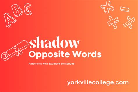 What Is The Opposite Of Shadow Example Sentences
