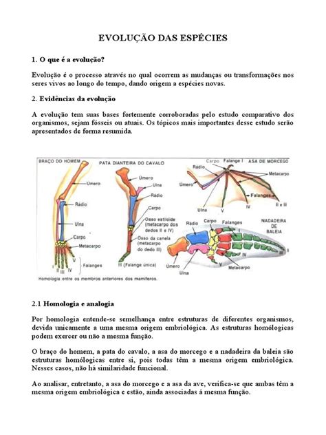 Evolução Das Espécies Ii Pdf Evolução Espécies