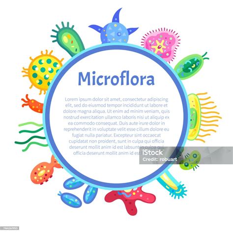 다양한 세균이 있는 프레임의 마이크로플로라 디테일 프로바이오틱에 대한 스톡 벡터 아트 및 기타 이미지 프로바이오틱 일러스트레이션 마이크로바이옴 Istock