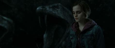 Harry Potter Deathly Hallows Ii Hermione Granger Image 26399318