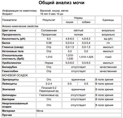 Анализ мочи заболевания