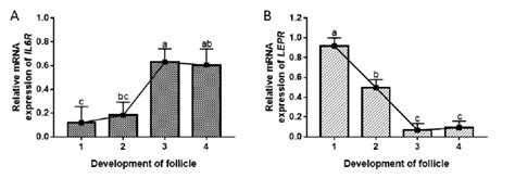 The Relative Mrna Expression Level Of The Gene Il6r A And Lepr B In Download Scientific