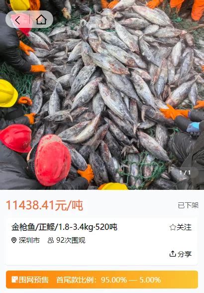 “海丰668”首航小漠港，金枪鱼产业新通道开启 全球高端水产品交易平台助力产业变革 中国农业发展集团有限公司