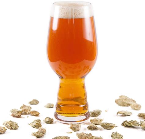 Best Craft Beer Glasses Of 2020 Glassware Guru