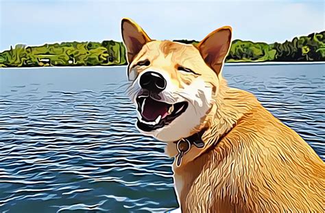 Shiba Inu BONE Menguat 13 Persen Kendati Tanpa Shibarium Apa Sebabnya