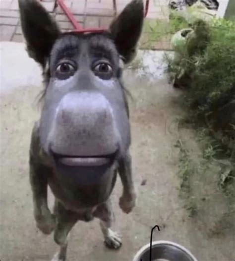 A Pfp Cult By Bfbfan542 On Deviantart