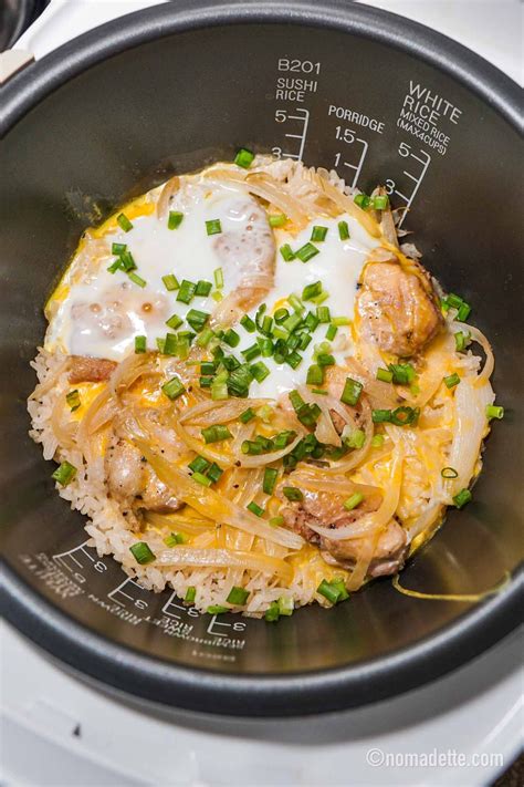 Rice Cooker Oyakodon Recipe