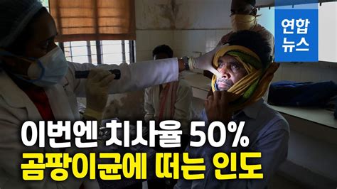 7천명 넘게 감염코로나 이어 공포의 곰팡이균 덮친 인도 연합뉴스 Yonhapnews Youtube