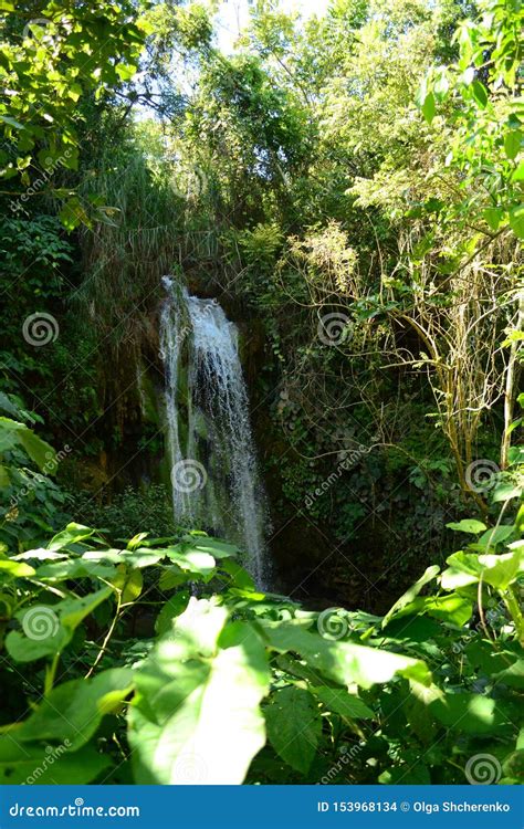Waterfall In The Wild Tropical Forest El Nicho Waterfalls Cienfuegos