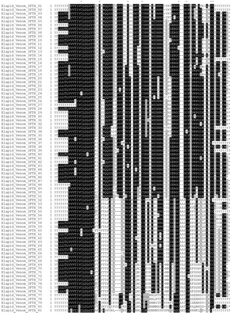 multiple sequence alignment of elapid three finger toxin amino acid