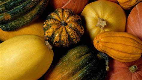 Getting To Know Your Squash The Globe And Mail