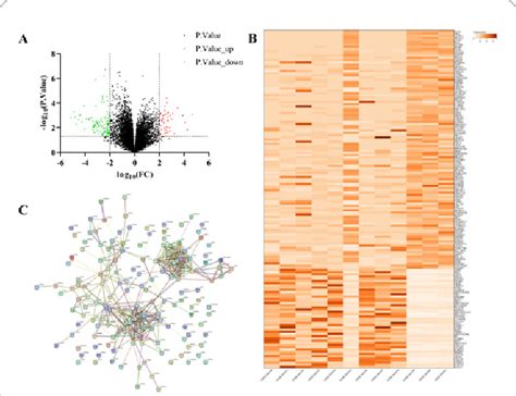 Database Screening Results A Volcano Plot Of Differentially Expressed