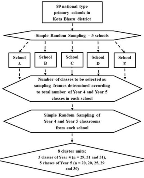 Schematic Presentation Of Sampling Procedure Download Scientific Diagram