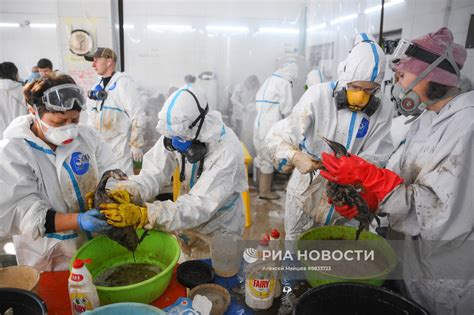 Ликвидация последствий разлива нефтепродуктов у берегов Анапы РИА