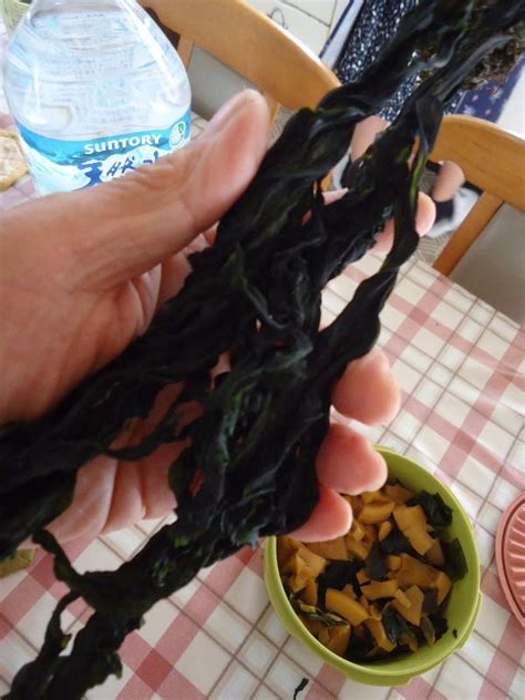 湘南の海の幸と山の幸で 湘南 コボの今日の湘南