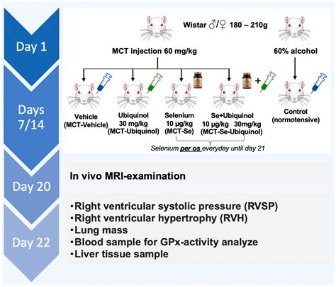 Sex Dependent Protective Effect Of Combined Application Of Solubilized Ubiquinol And Selenium On