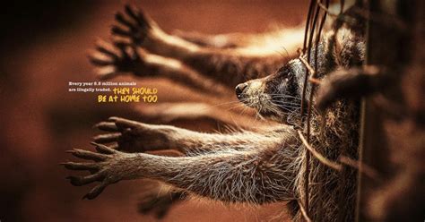 WWF dévoile une campagne puissante contre le trafic d animaux sauvages