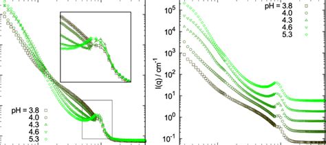 4 Sans Intensity As A Function Of Magnitude Q Of The Scattering Vector