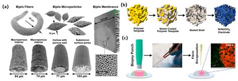 Bicontinuous Interfacially Jammed Emulsion Gels Bijels Preparation Control Strategies And