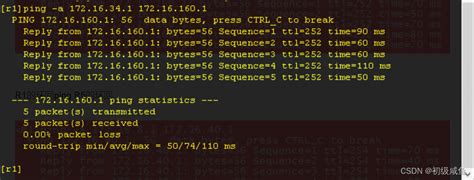 Ospf终极实验ospf配置拓扑图 Csdn博客